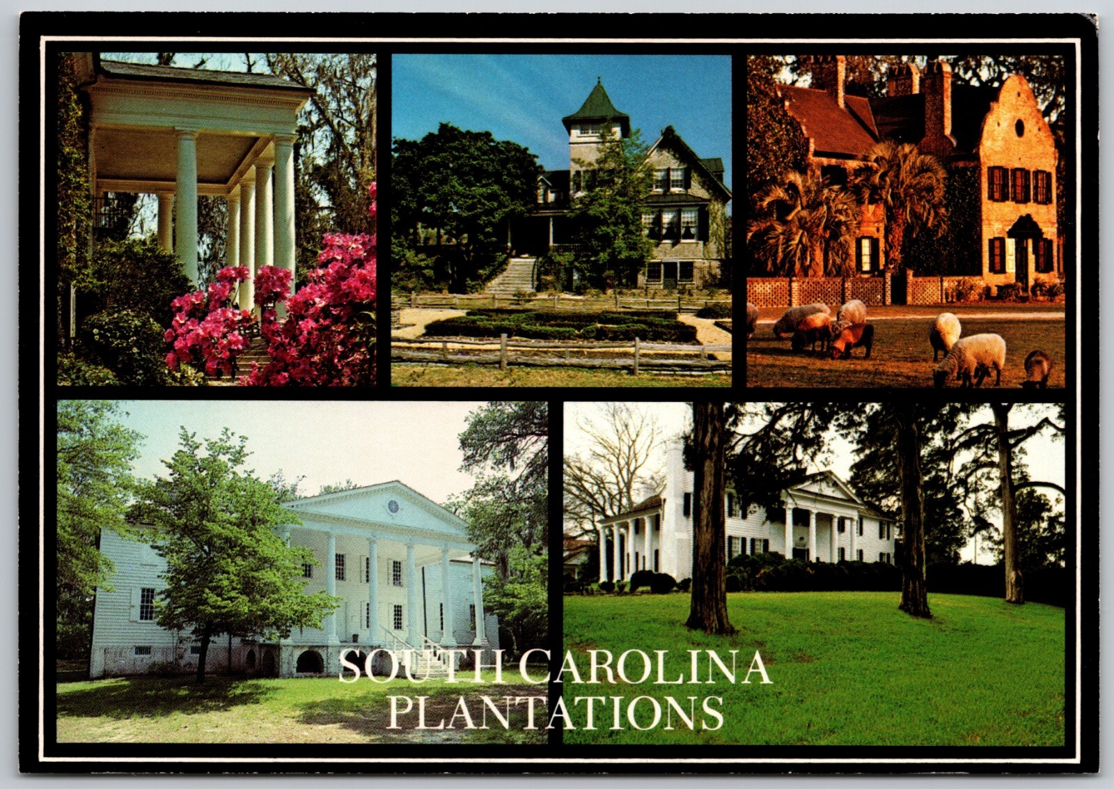 Antebellum Plantations of South Carolina (6X4 in) Postcard 9304 | eBay