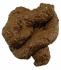 HIGH QUALITY Fake Dog Poop Poo Realistic Doggy Doo Doo Dirt Joke Gag ...
