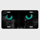 Black Cat Beautiful Eyes License Plate tag METAL USA pet animal lover ...