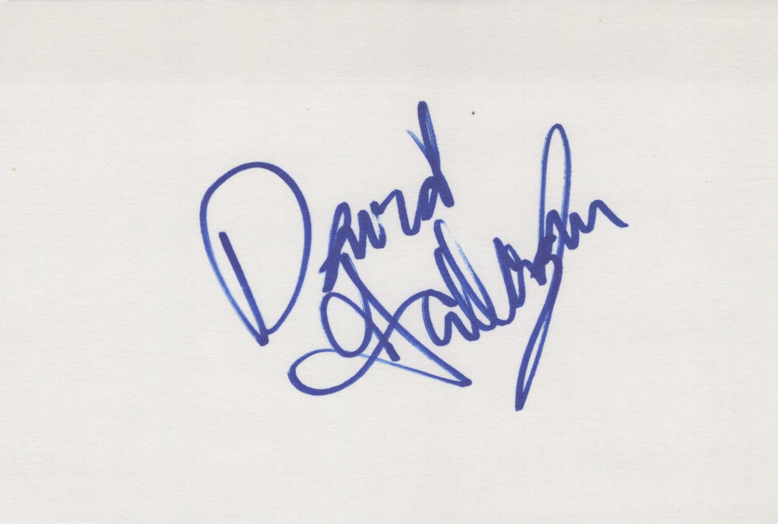 David Gallagher signed 4x6 index card | eBay
