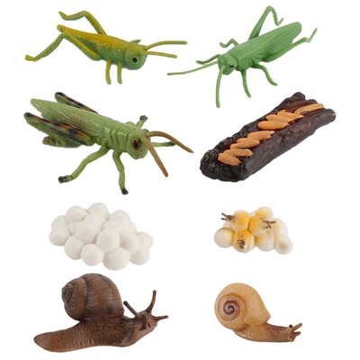Grasshopper / Snail Growth Life Cycle Figure Model Teaching Themed ...