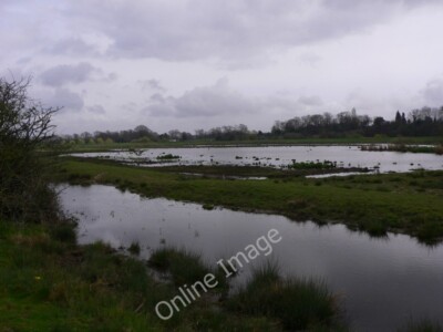 Photo 6x4 Waltham Brooks Nature Reserve (2) Coldwaltham c2011 | eBay UK