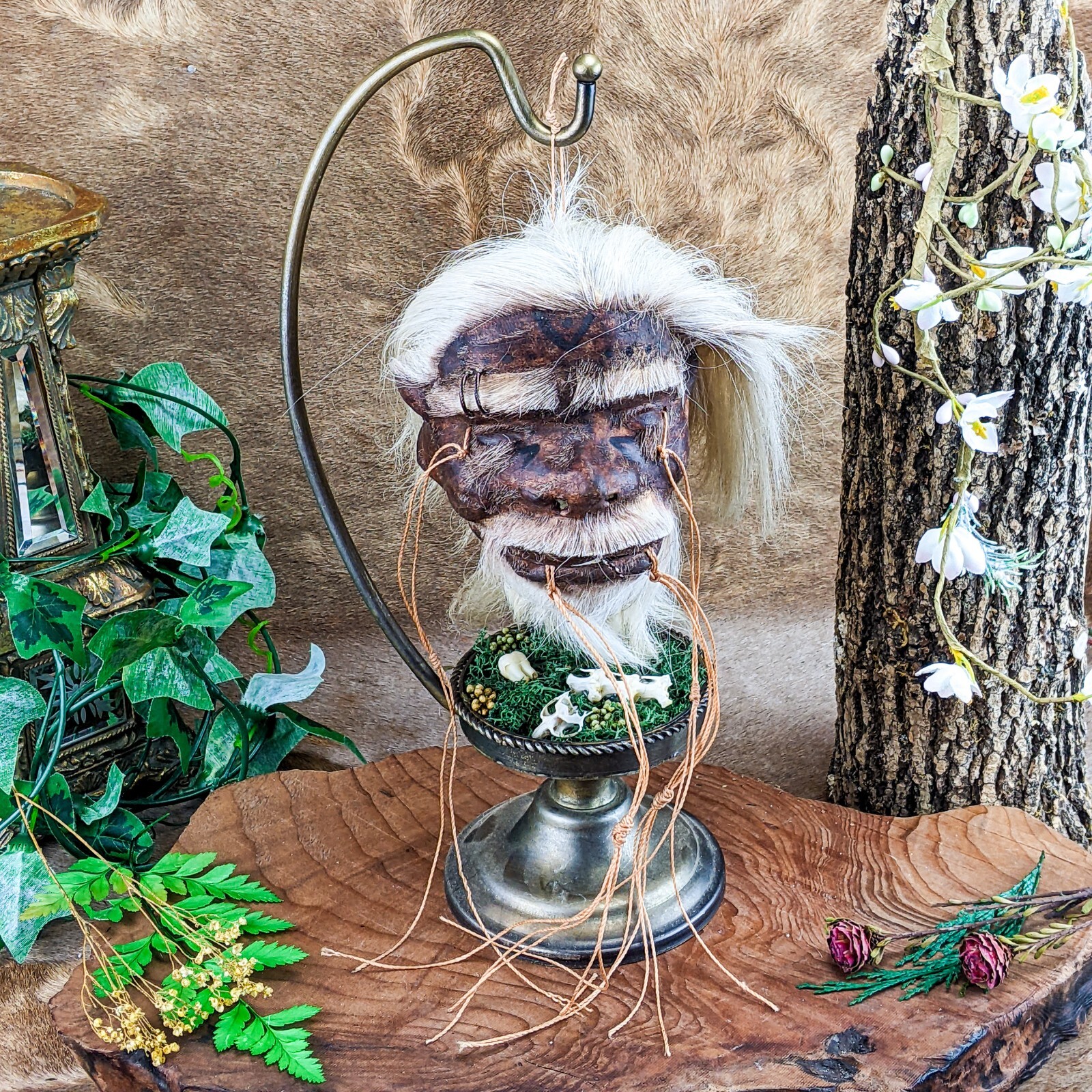 a60b Shrunken Head reproduction Tsantsa by Local Tribesmen Oddities ...