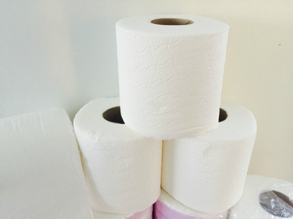BLISS Quilted Luxury Soft 3 ply 3ply Toilet Rolls Tissue Paper 40 ...