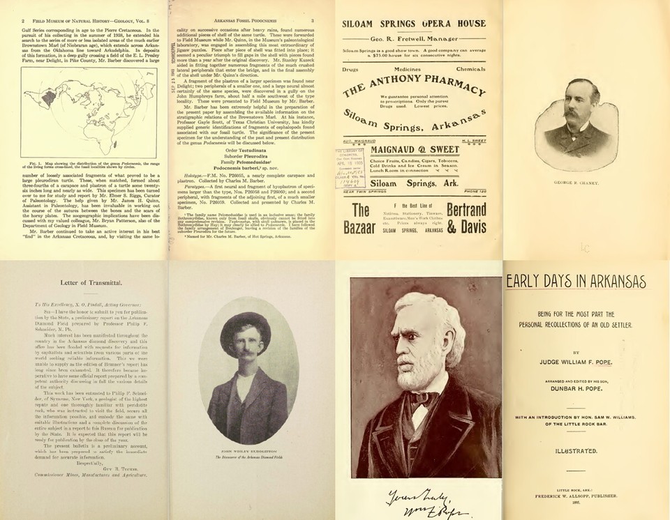 154 Old Rare Books on Arkansas History Genealogy Ancestry Family ...