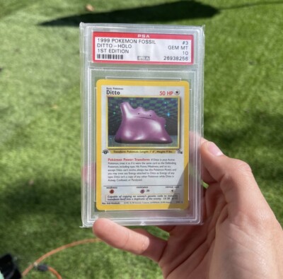 1999 pokemon 1st edition Ditto psa 10 | eBay