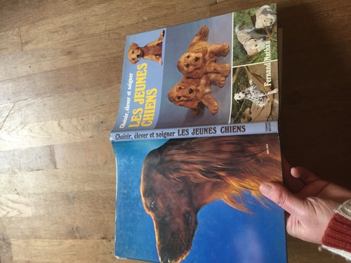 JUDY DE CASEMBROOT choisir elever soigner les jeunes chiens nathan ...