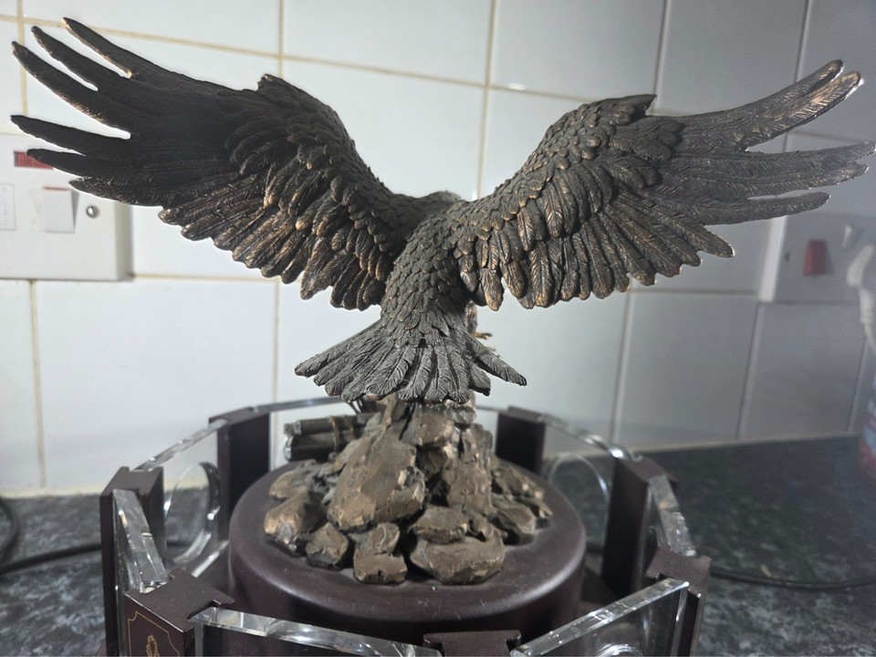morgan silver dollar collection eagle display Case only | eBay