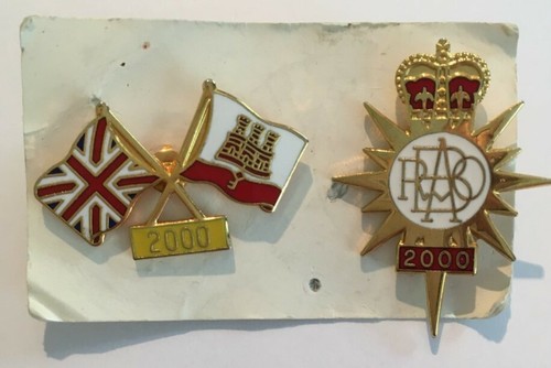 RAOB 2000 (and one other) Pin Badge | eBay