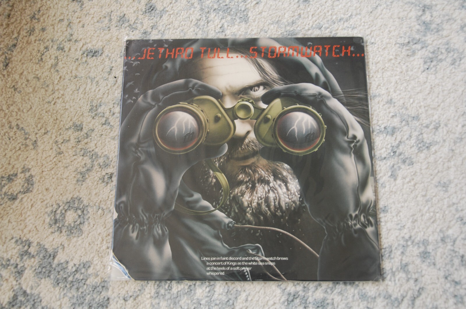 Jethro Tull, Stormwatch, Chrysalis CHR 1238, VG cover, play graded VG ...