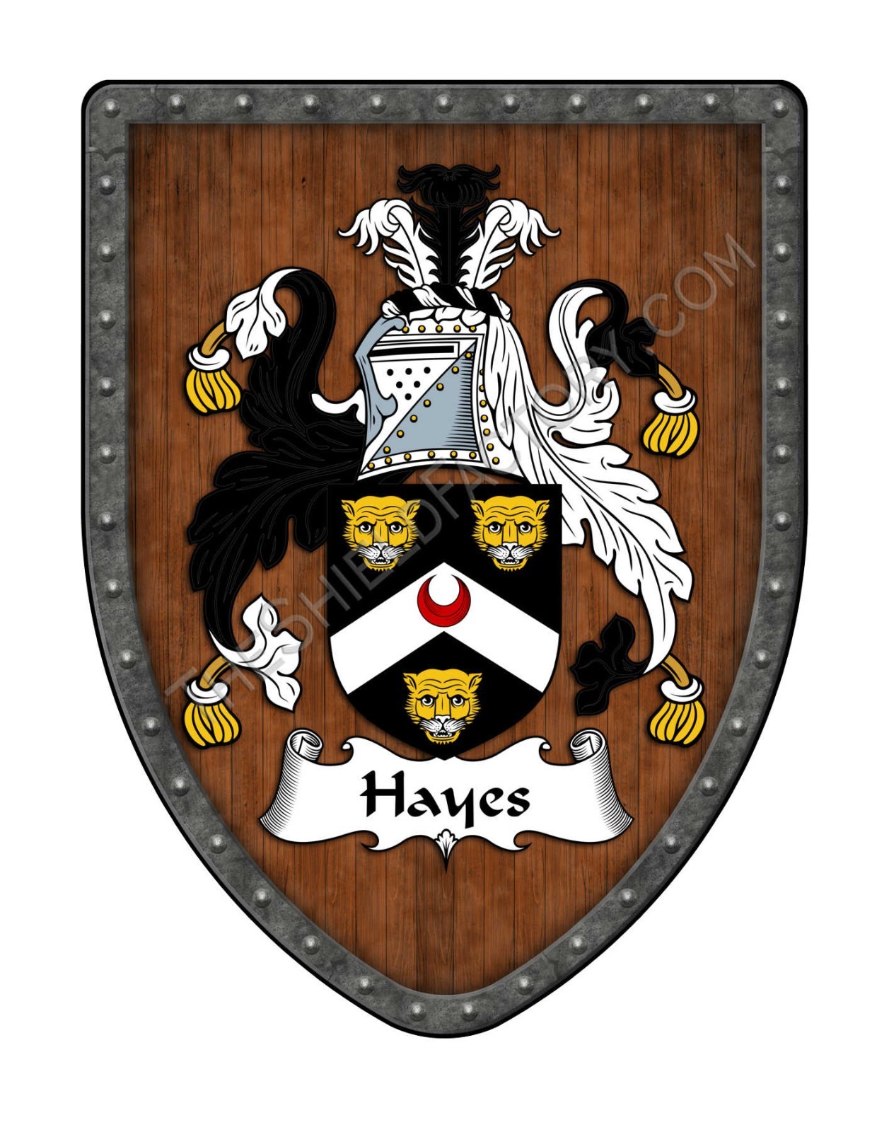 Hayes Coat of Arms Custom Family Crest , Hanging Wall Shield SH503P-DG ...