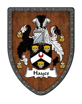 Hayes Coat of Arms Custom Family Crest , Hanging Wall Shield SH503P-DG ...