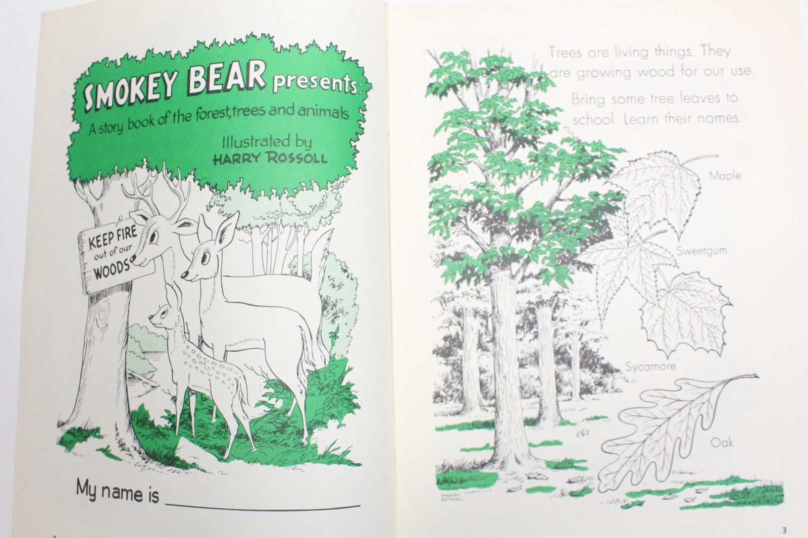 Smokey Bear's Story Of The Forest 1965 Fires Conservation | eBay