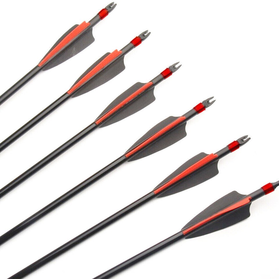 12pcs 30" Fiberglass Hunting Practice Arrows With Removable Tip for ...