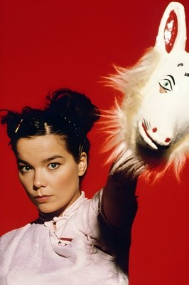 11x17 Bjork Graphic Poster Edgy Goat Head Photography | eBay