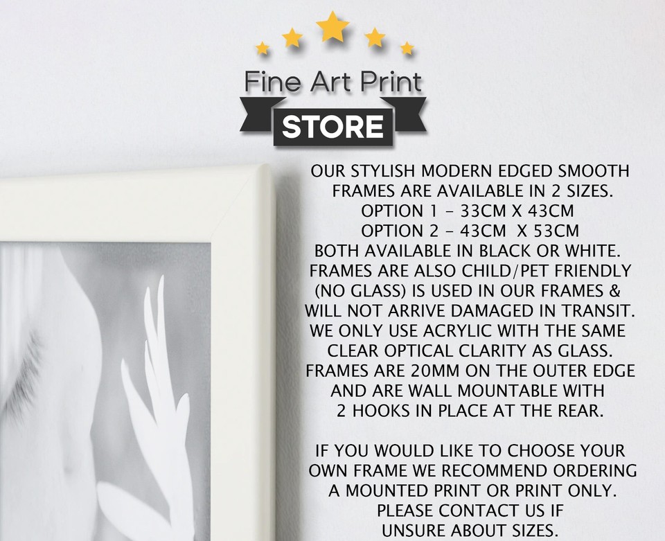 Stoke City Gifts, Framed Picture, Print, Bet 365 Stadium, Britannia ...