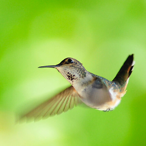 WING KEE | eBay Stores