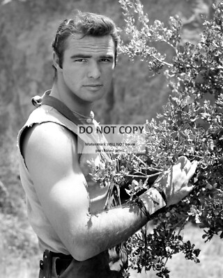BURT REYNOLDS AS "QUINT ASPER" IN "GUNSMOKE" - 8X10 PUBLICITY PHOTO ...