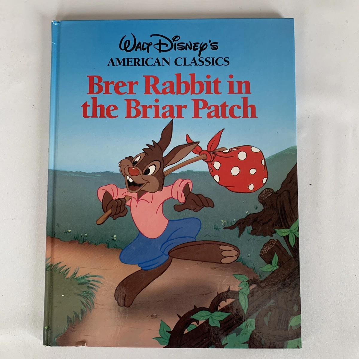 Briar Patch Splash Mountain