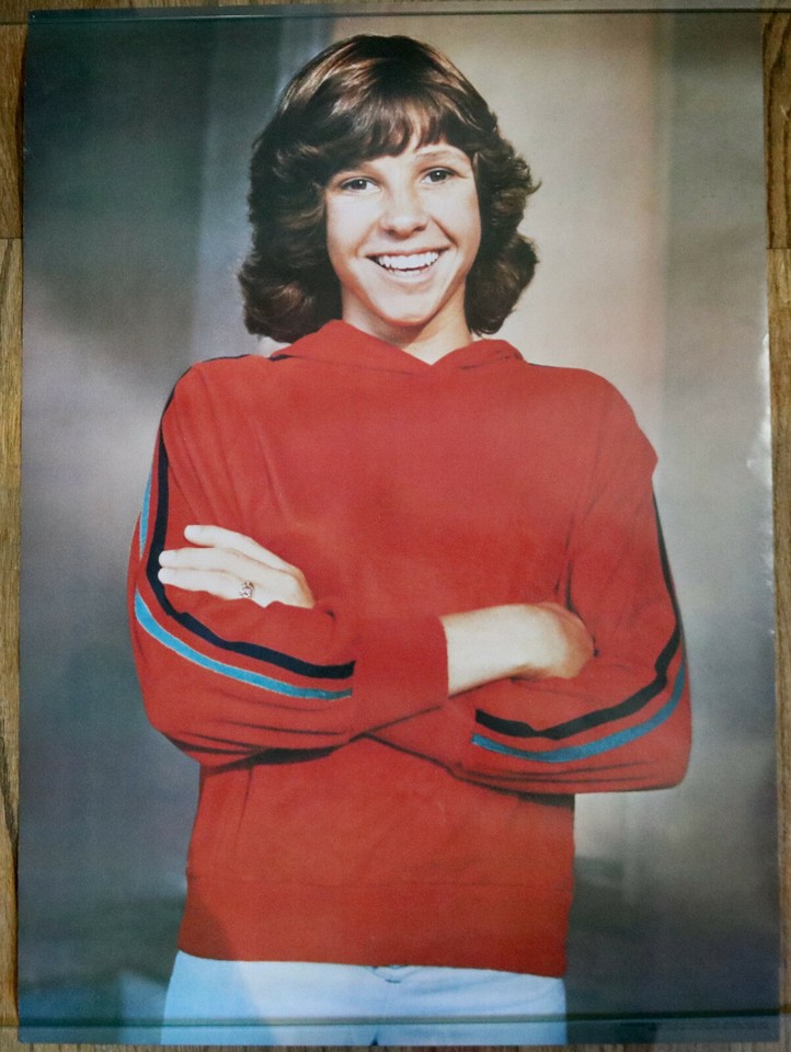 KRISTY McNICHOL 1978 poster Pro Arts | eBay