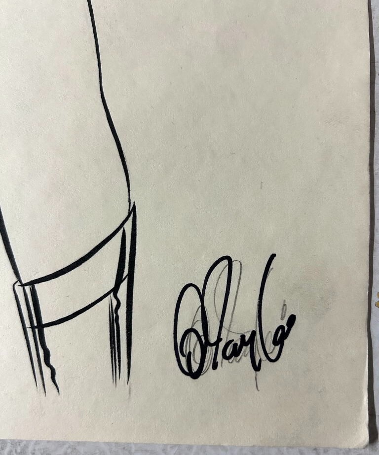 WONDER WOMAN Animated Series ORIGINAL ART HAND SIGNED by Artist Des ...