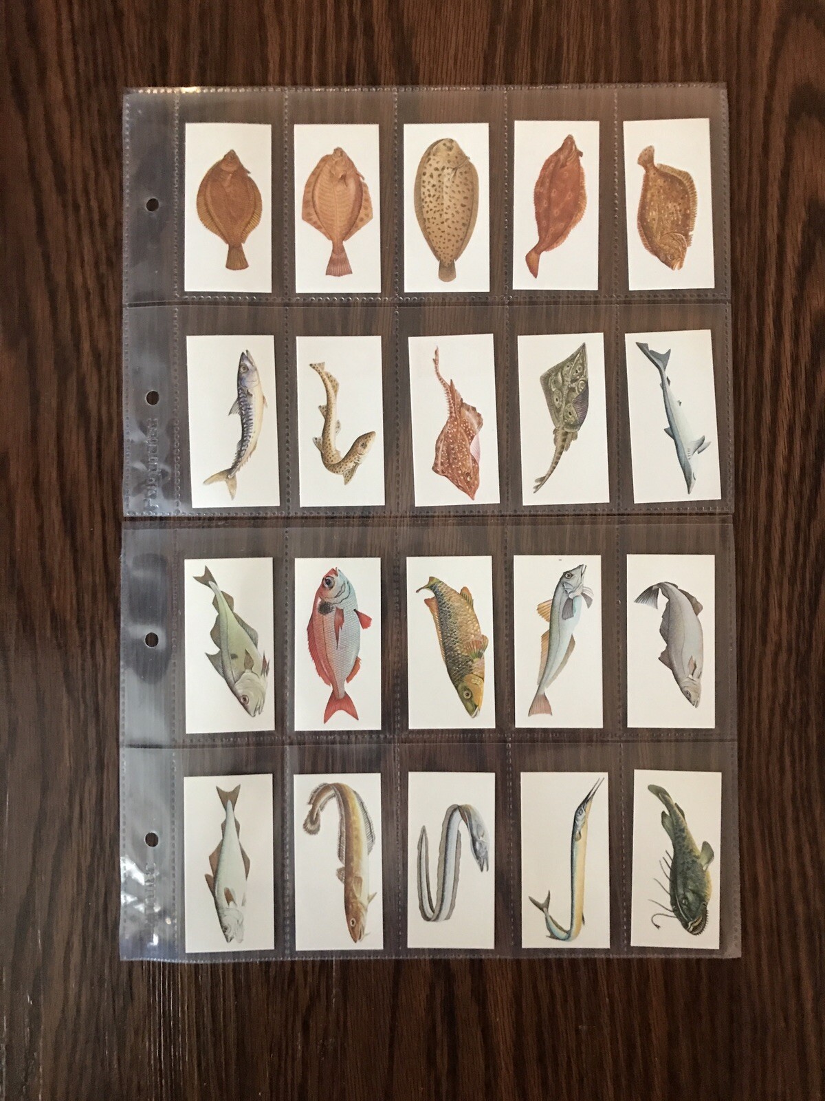 Craven Black Cat Sport Fish Cigarette Cards Full Set Of 50 In Sleeves ...