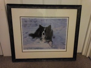 Steven Townsend "Mac" Border Collie signed print. | eBay