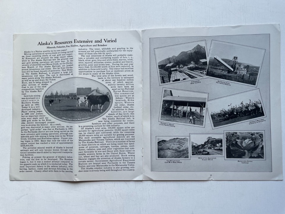 1931 Alaska Travel Brochure- By Alaska Railroad- Great Double Cover ...