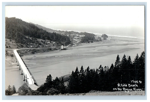 Vintage RPPC Cold Beach On The Rouge River P203E | eBay
