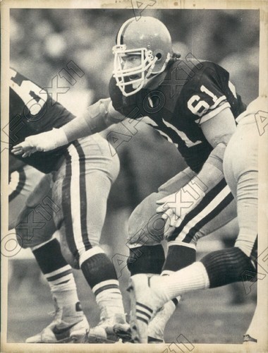 1986 Cleveland Browns Football Player Center Mike Baab Press Photo | eBay