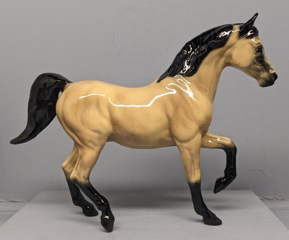 Buckskin Arabian Horses Arabian Horse: The History, Hallmarks And