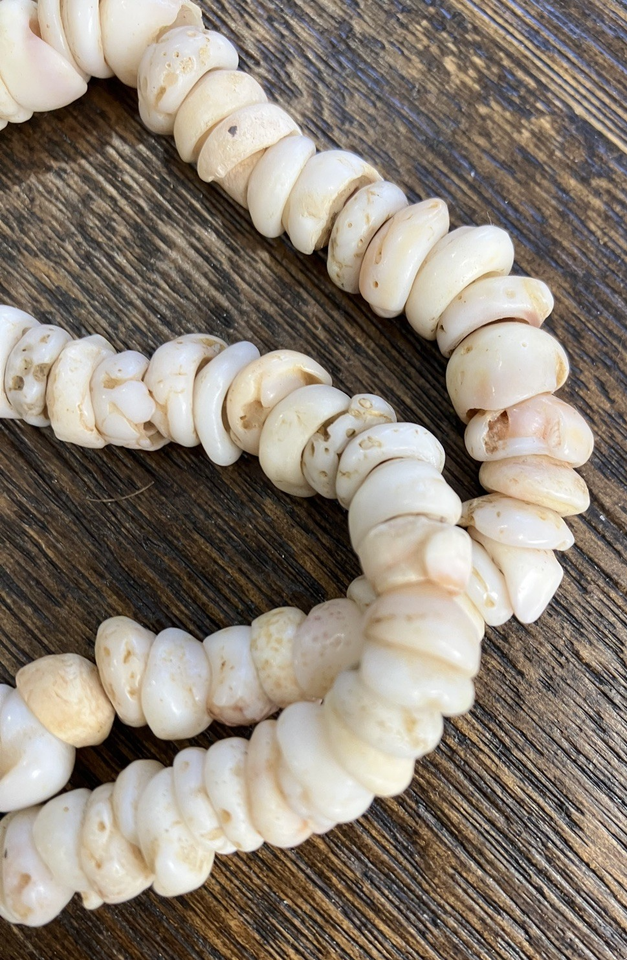 Vintage Hawaiian Natural Puka Shell Choker Necklace 16" Rustic Boho ...