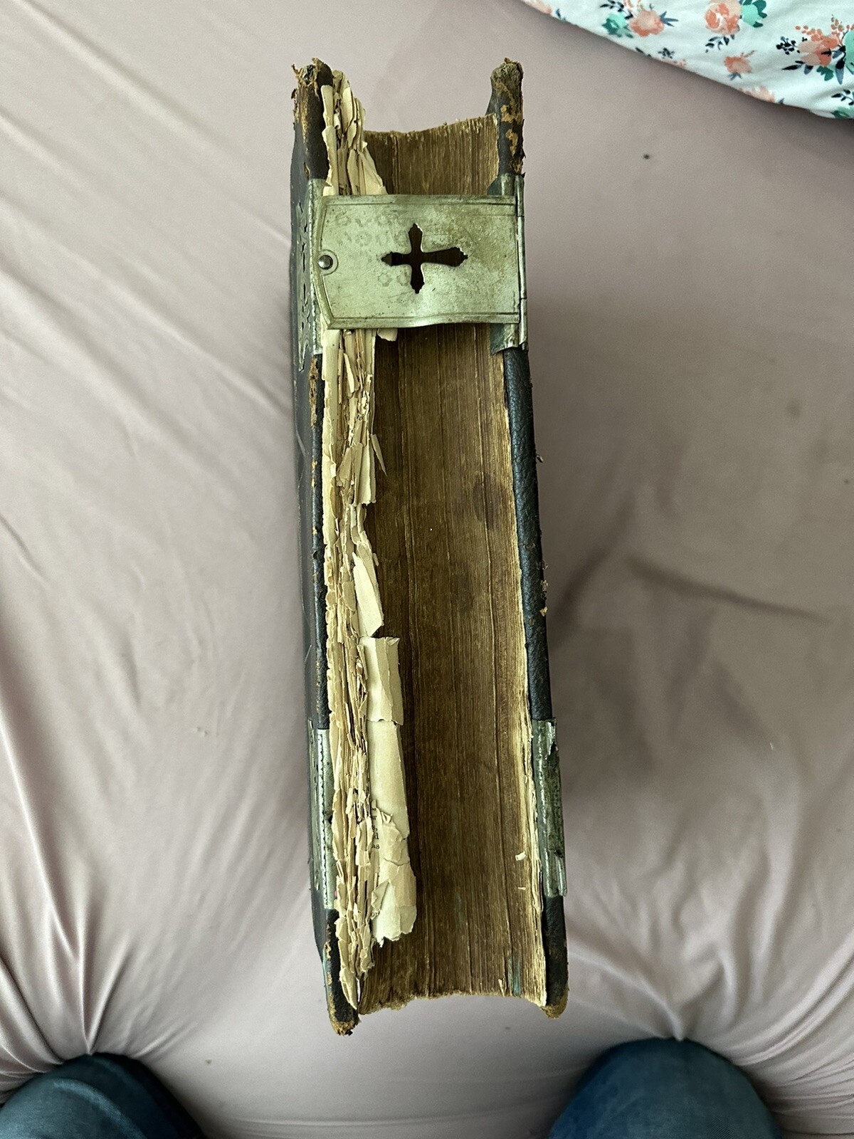 RARE Vintage Parallel Column Family Holy Bible W/Pictorial ...