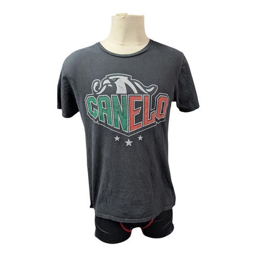 Canelo Álvarez Boxing Tee Black Eagle Logo Mexico Flag Graphic T-Shirt ...