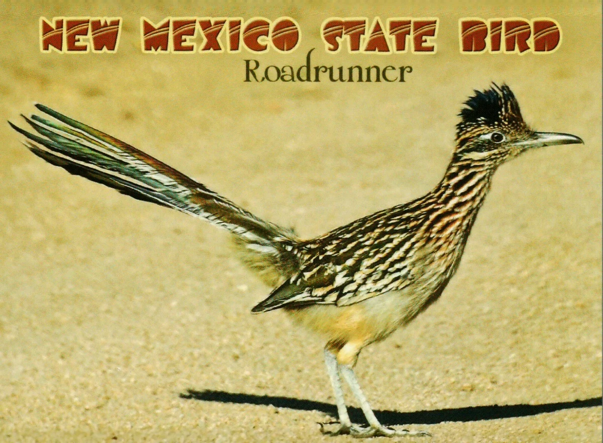 The Bee Hive -- March 2024 Edition - Page 105 - Blogs & Forums