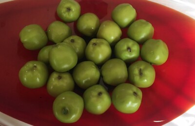 20 Pcs Mini Green Apple /Apples Artificial Fruit Home /Office/ Party ...