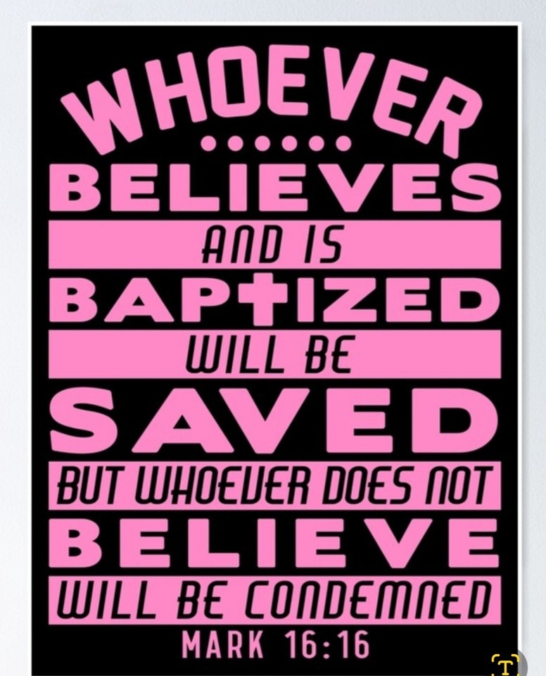 Baby Trend Sit N Stand double Stroller Rear Row Fabric Seat Cover Gray ...