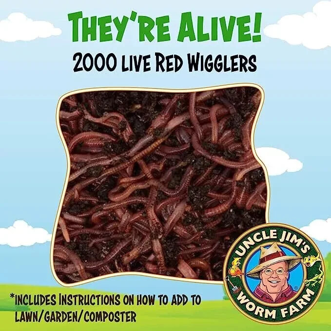 Uncle Jim's Worm Farm 2000 Count Red Wiggler Worms for Compost Bin Worm ...
