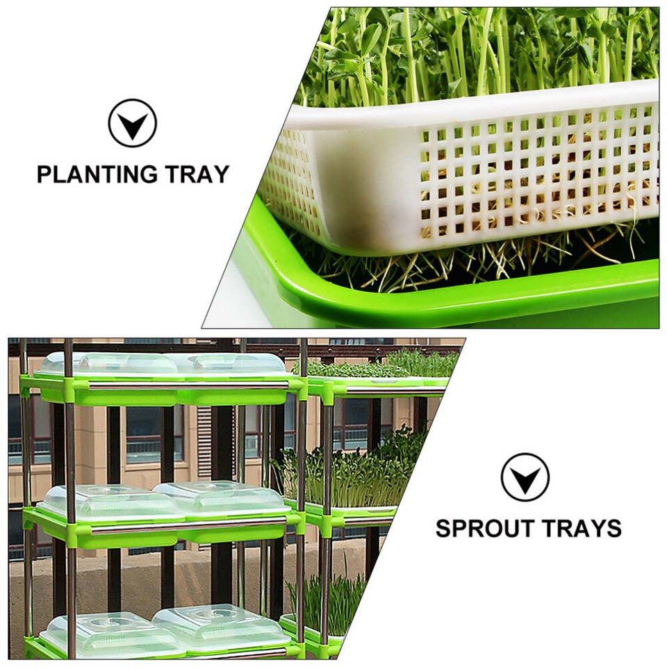 2 Sets Planting Tray Sprout Trays with Lid Wheat Bean Sprouts | eBay