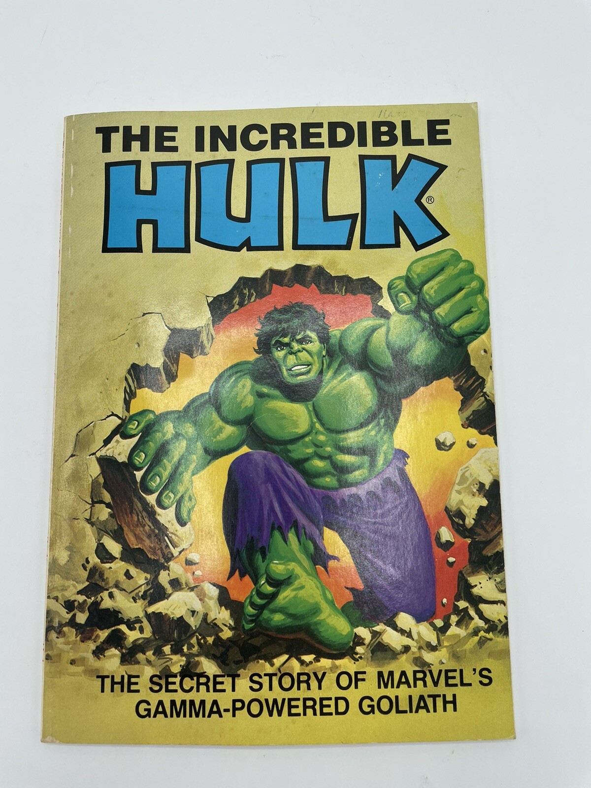THE INCREDIBLE HULK: SECRET STORY OF MARVEL'S GAMMA-POWERED GOLIATH, PB ...