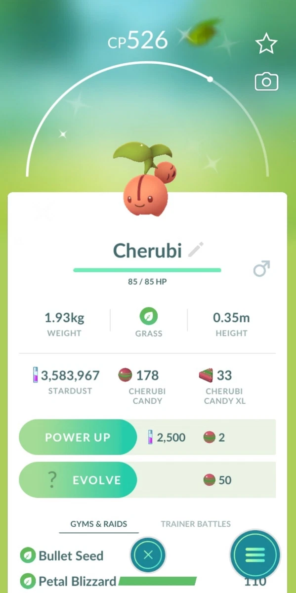 Cherubi Evolve