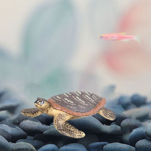 Realistic Simulation Turtle Vinyl Turtle Model Reptile Model Fish Tank ...