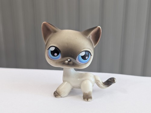 LPS Littlest Pet Shop Siamese Cat #5 Hasbro Authentic | eBay