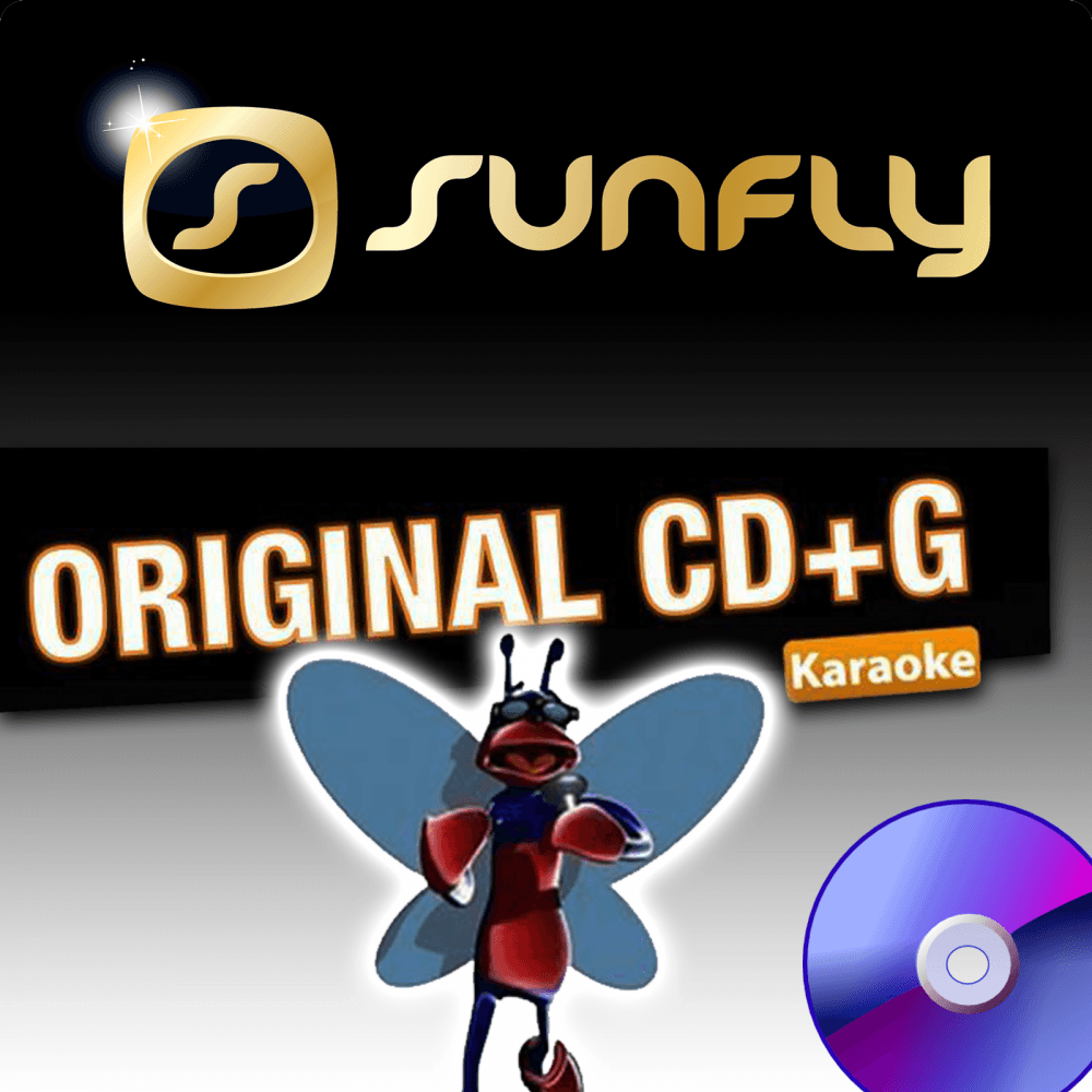 Sunfly Karaoke Hits Triple CDG Set CD+G Discs 48 Chart Hit Tracks Decades Vol 10 | eBay UK