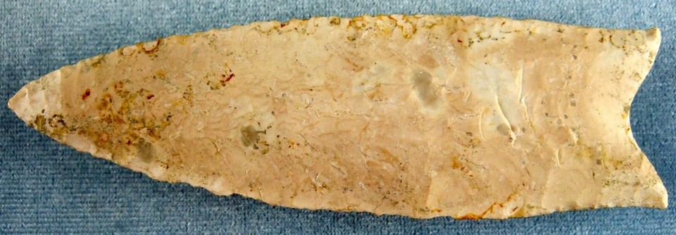 Exceptionally Fine 4 7/16 inch Museum G10+ Illinois Dalton Butler COA ...