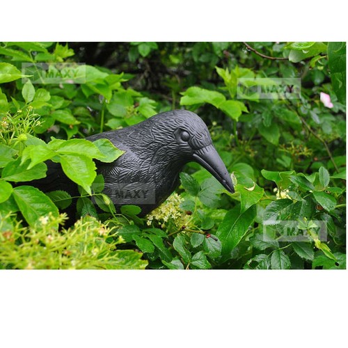 Corvo Finto Spaventapasseri Dissuasore Statua Spaventa Scaccia Piccioni ...