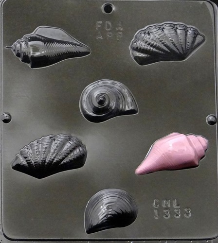 Sea Shells Seashells Chocolate Candy Mold 1333 NEW | eBay