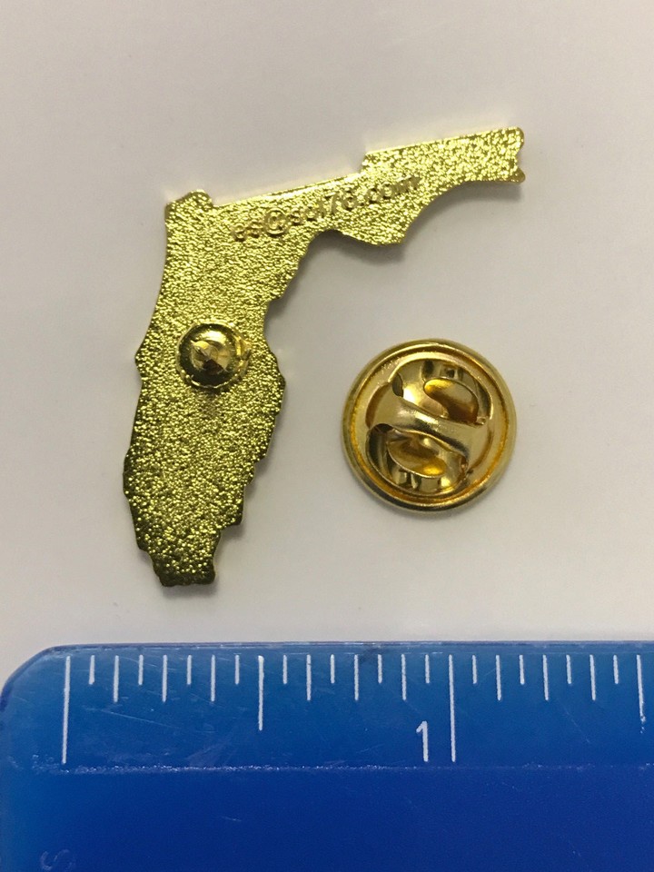 Florida State Lapel Pin FL US Flag American USA Patriot Politics | eBay