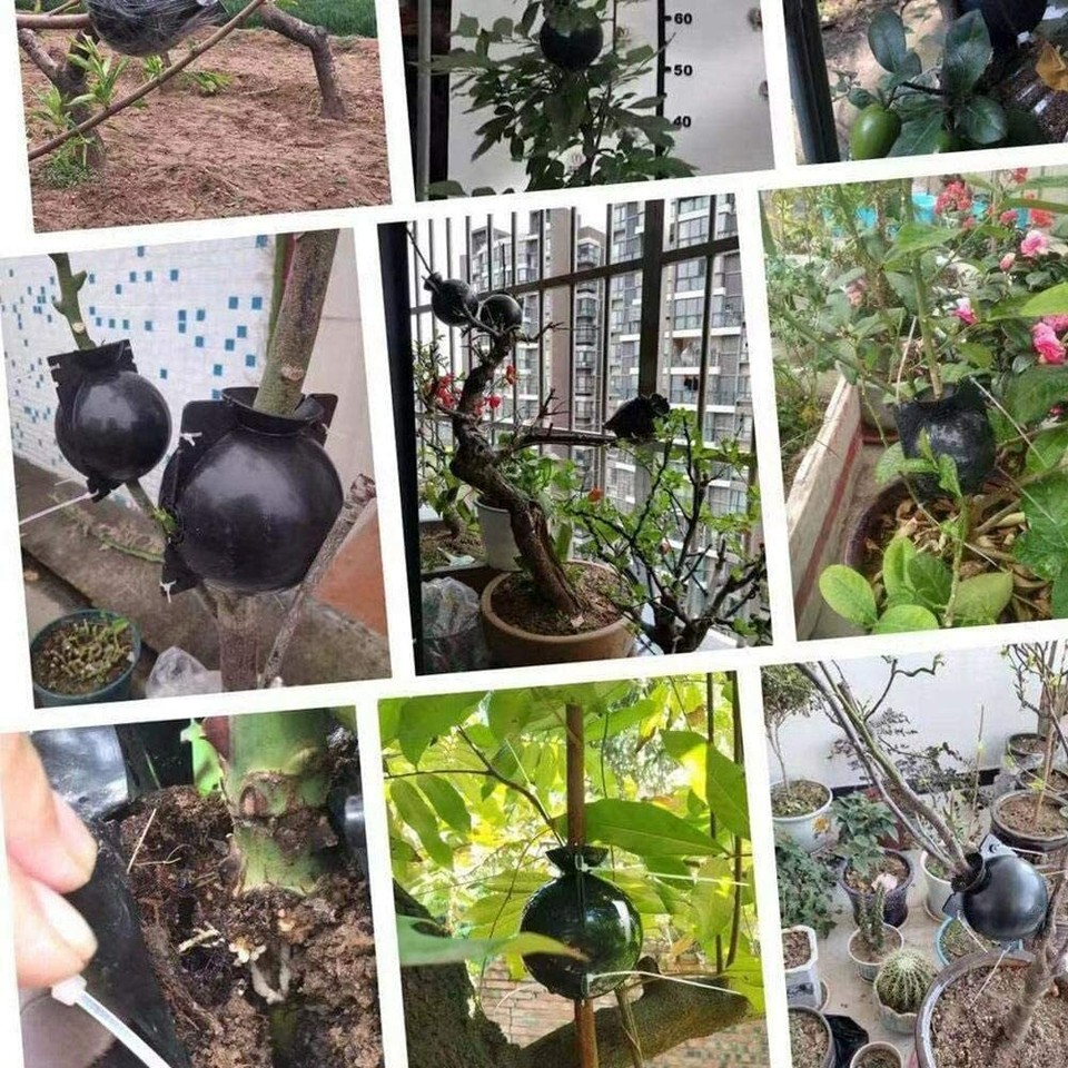 Plant Rooting Growing Grafting Box Device High Pressure Propagation ...