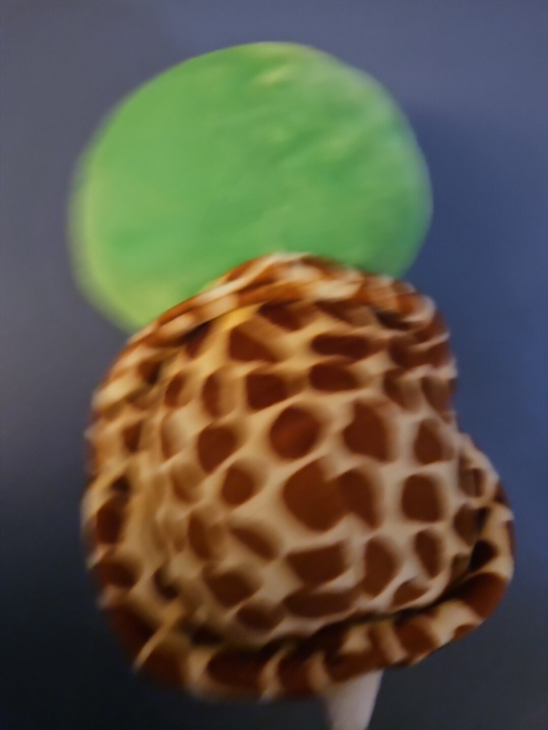 2022 Ty Beanie Boos - TURBO the Turtle 6" Stuffed Animal Toy Soft for ...